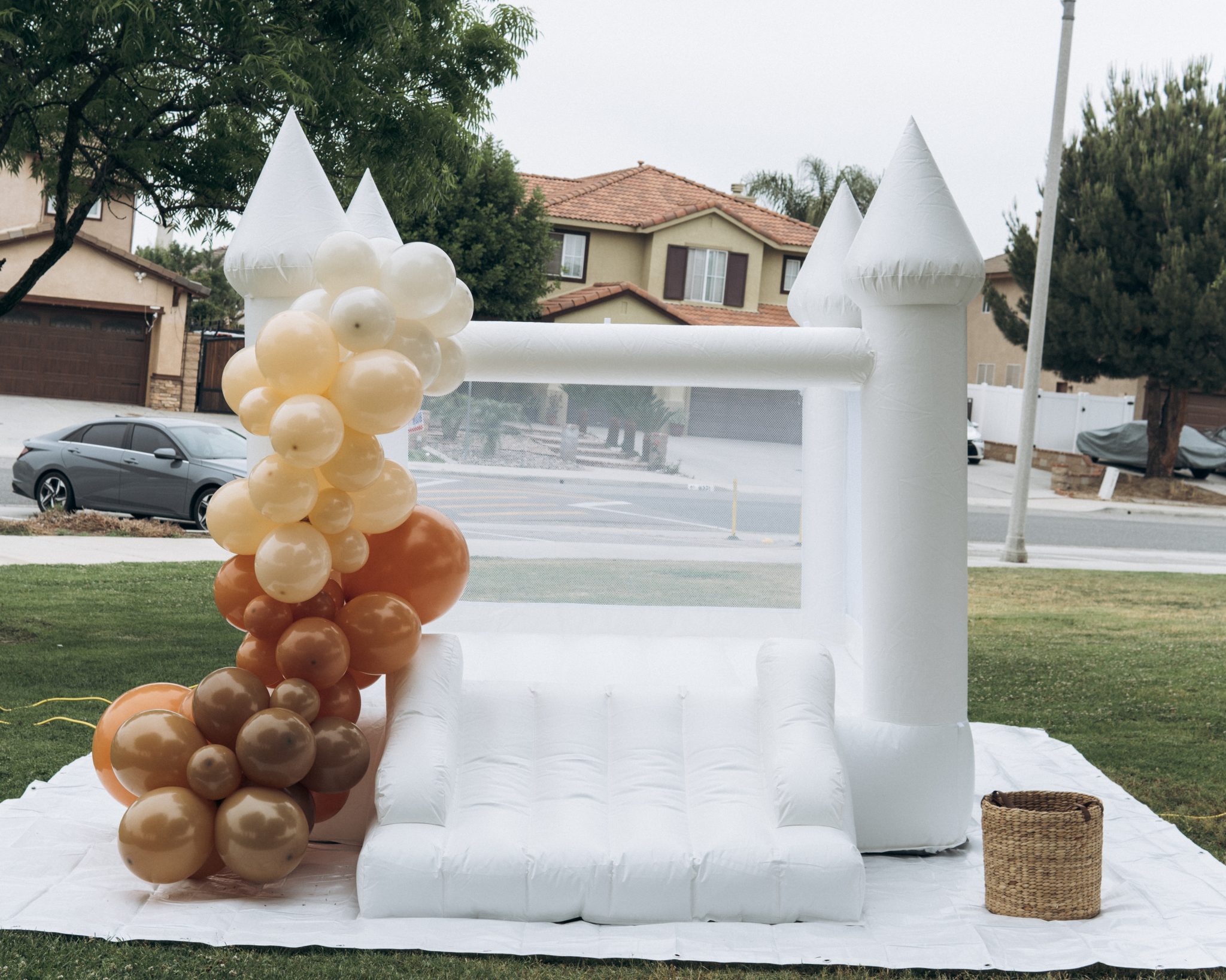 Luvies Bounce House - Party Rental and Bounce House Rental