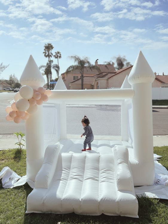 Bounce Houses - Luvies Bounce House